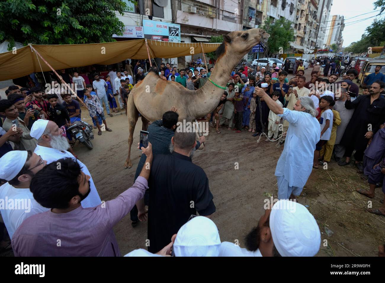 People slaughter a camel on the occasion of the Eid al-Adha holiday, in ...