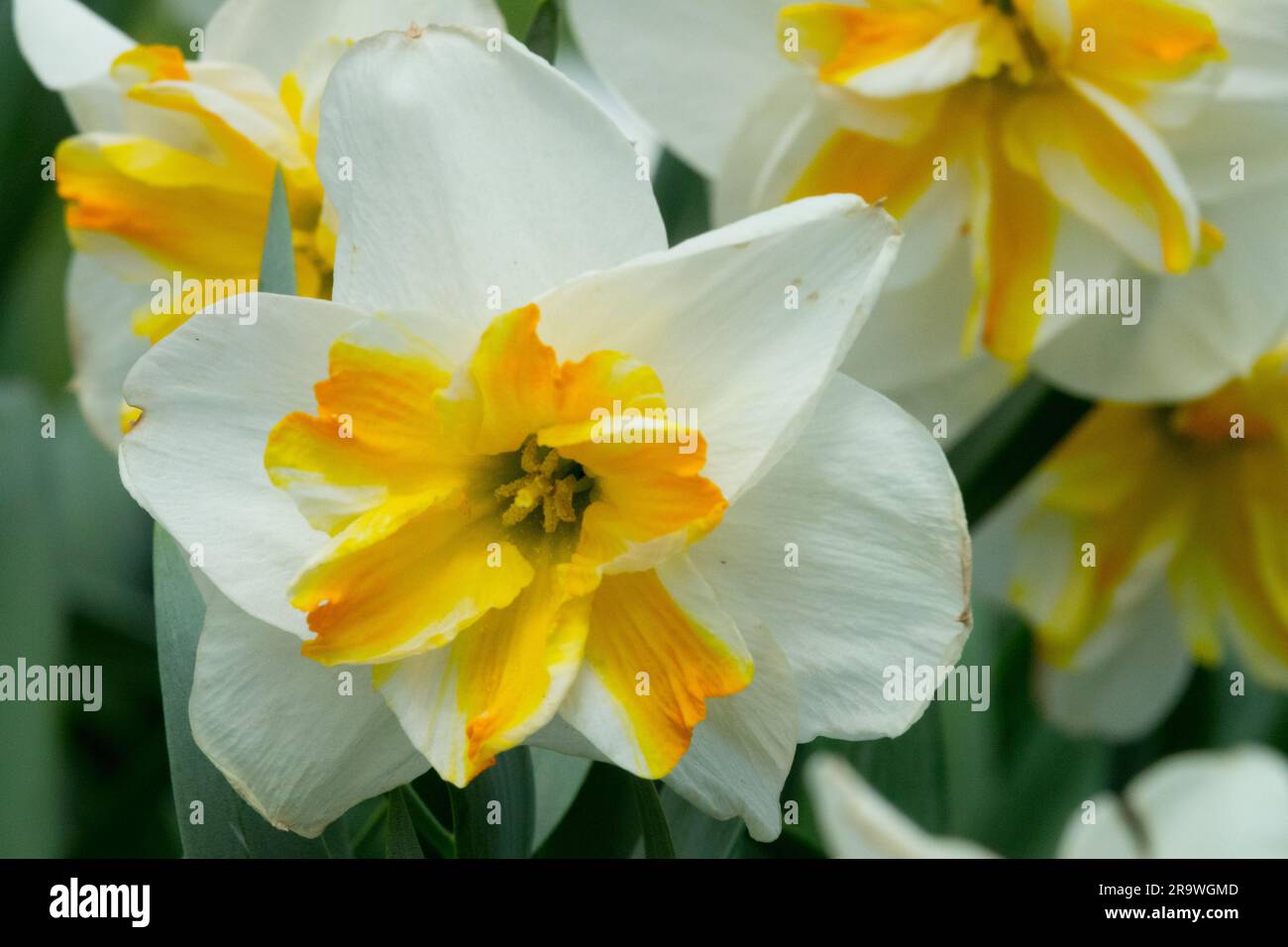 Broadway stern -Fotos und -Bildmaterial in hoher Auflösung – Alamy