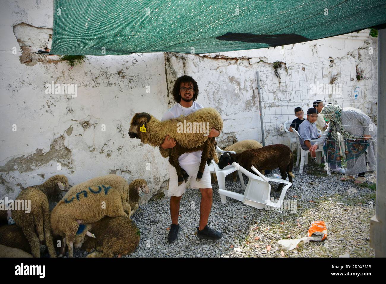 A man with a lamb before being sacrificed during the Feast of the Lamb ...