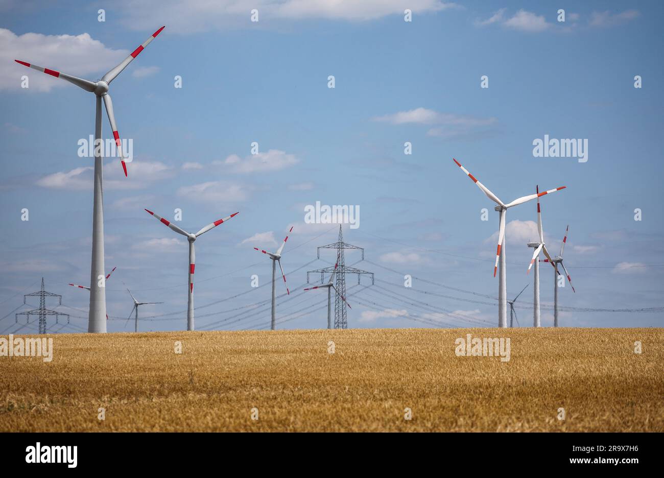 Raguhn jessnitz -Fotos und -Bildmaterial in hoher Auflösung – Alamy