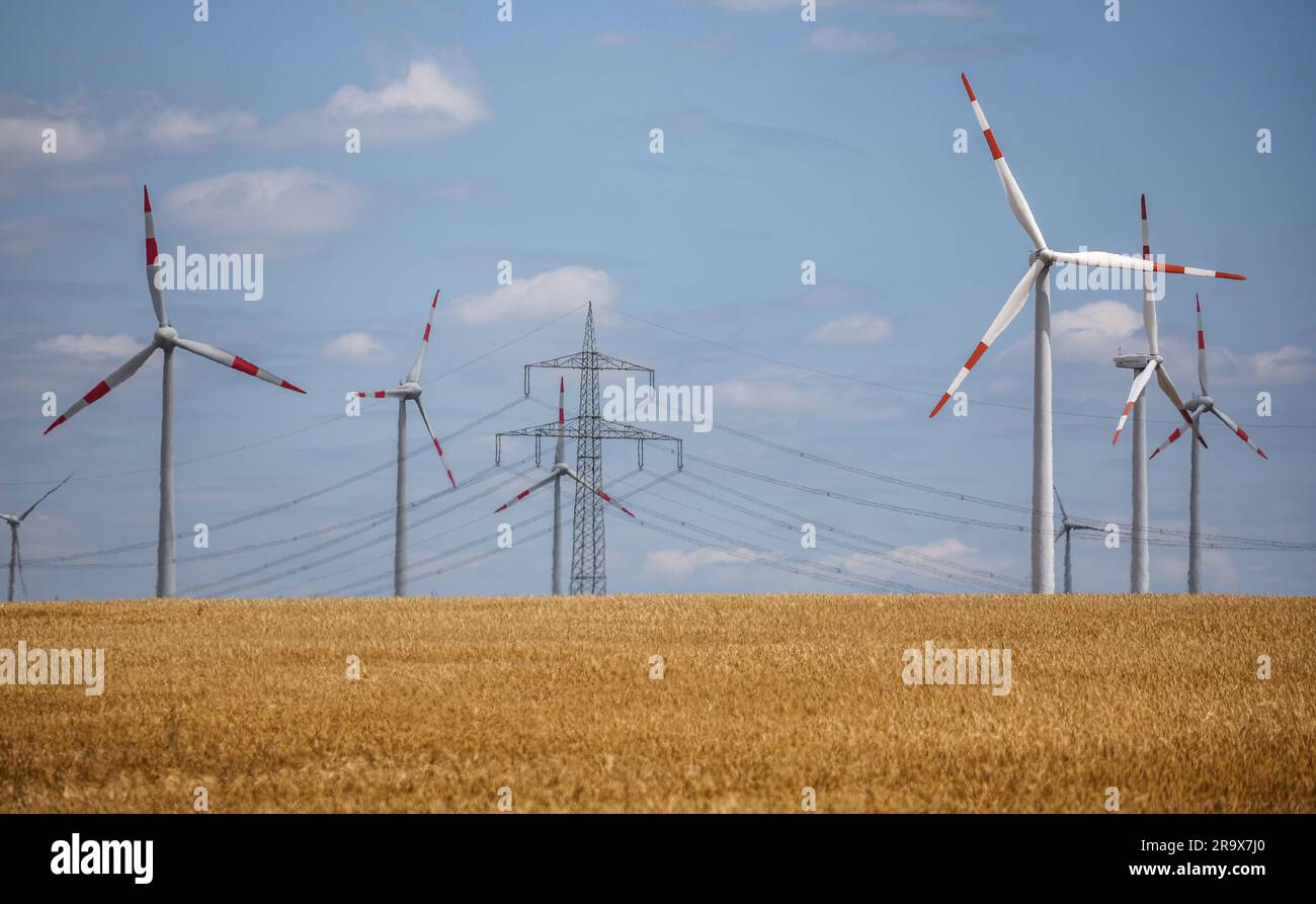 Raguhn jessnitz -Fotos und -Bildmaterial in hoher Auflösung – Alamy