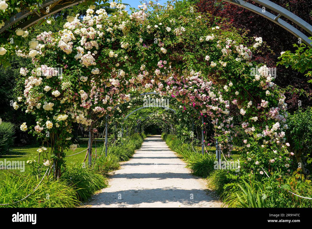 Parc des bienfaites -Fotos und -Bildmaterial in hoher Auflösung – Alamy