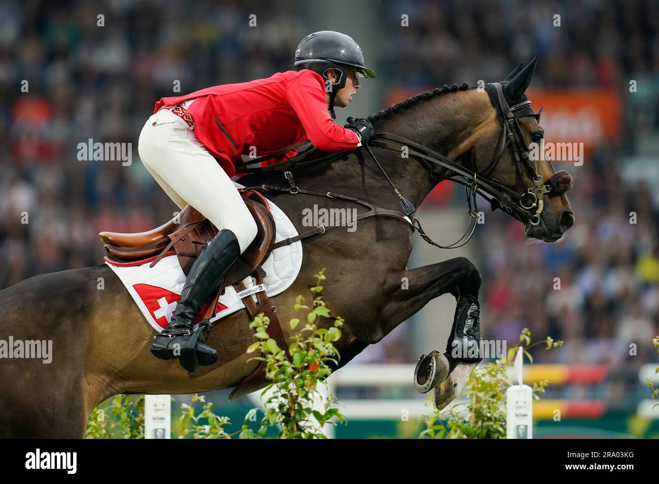 Aachen, Deutschland. 29. Juni 2023. Reitsport, Springen: CHIO, Show ...