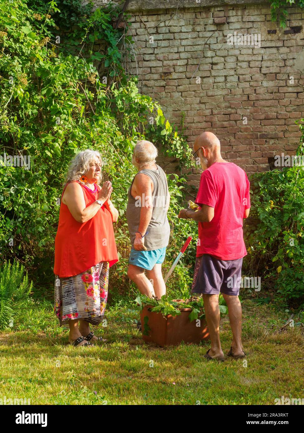 Erfahrene weiße Männer, die im Sommer Reben und Efeu, Pflanzen, Äste ...