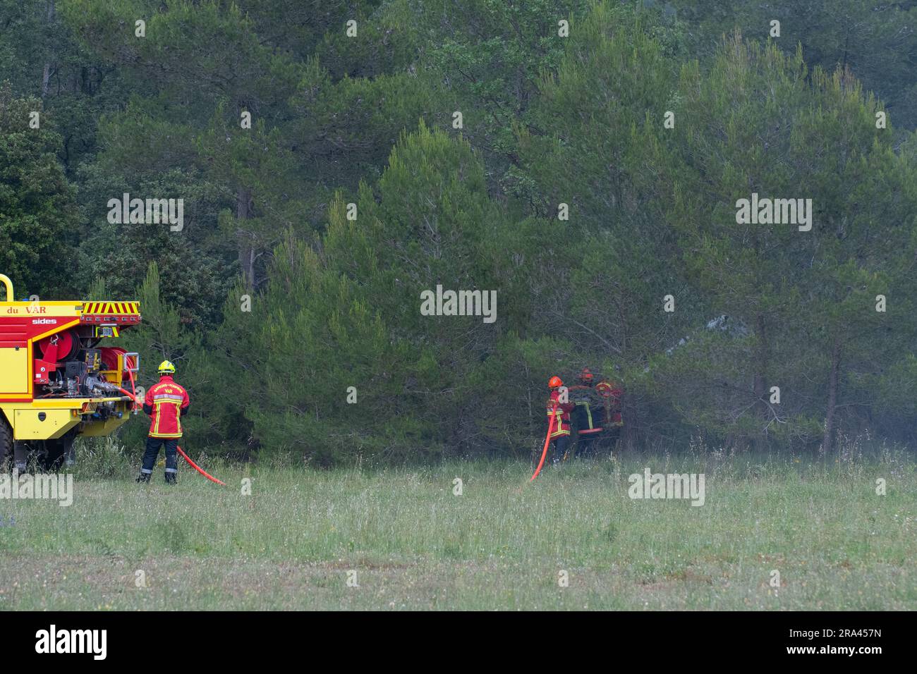 Mitglieder der Feuerwehreinheiten führen Schulungen gegen Waldbrände ...