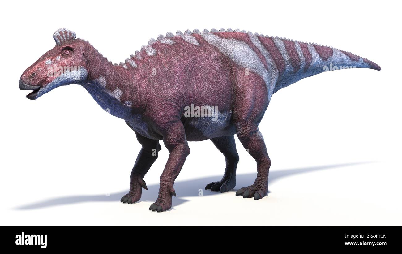 Edmontosaurus dinosaur -Fotos und -Bildmaterial in hoher Auflösung – Alamy