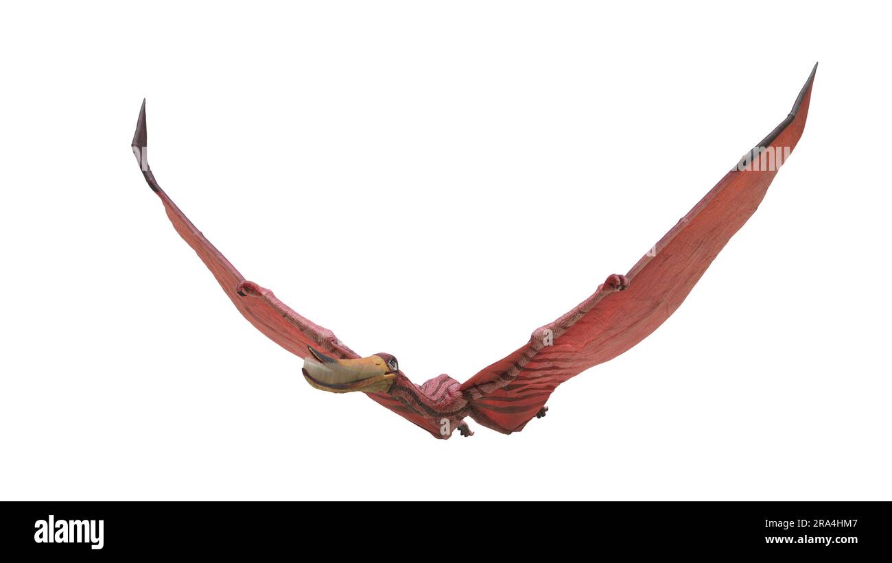 Pterodactyloid pterosaur -Fotos und -Bildmaterial in hoher Auflösung ...