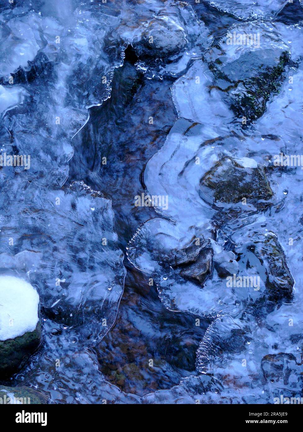 Heiterfrost, nördlicher Schwarzwald bei Bad Liebenzell im Winter mit Eis und Schnee, Fluss ...