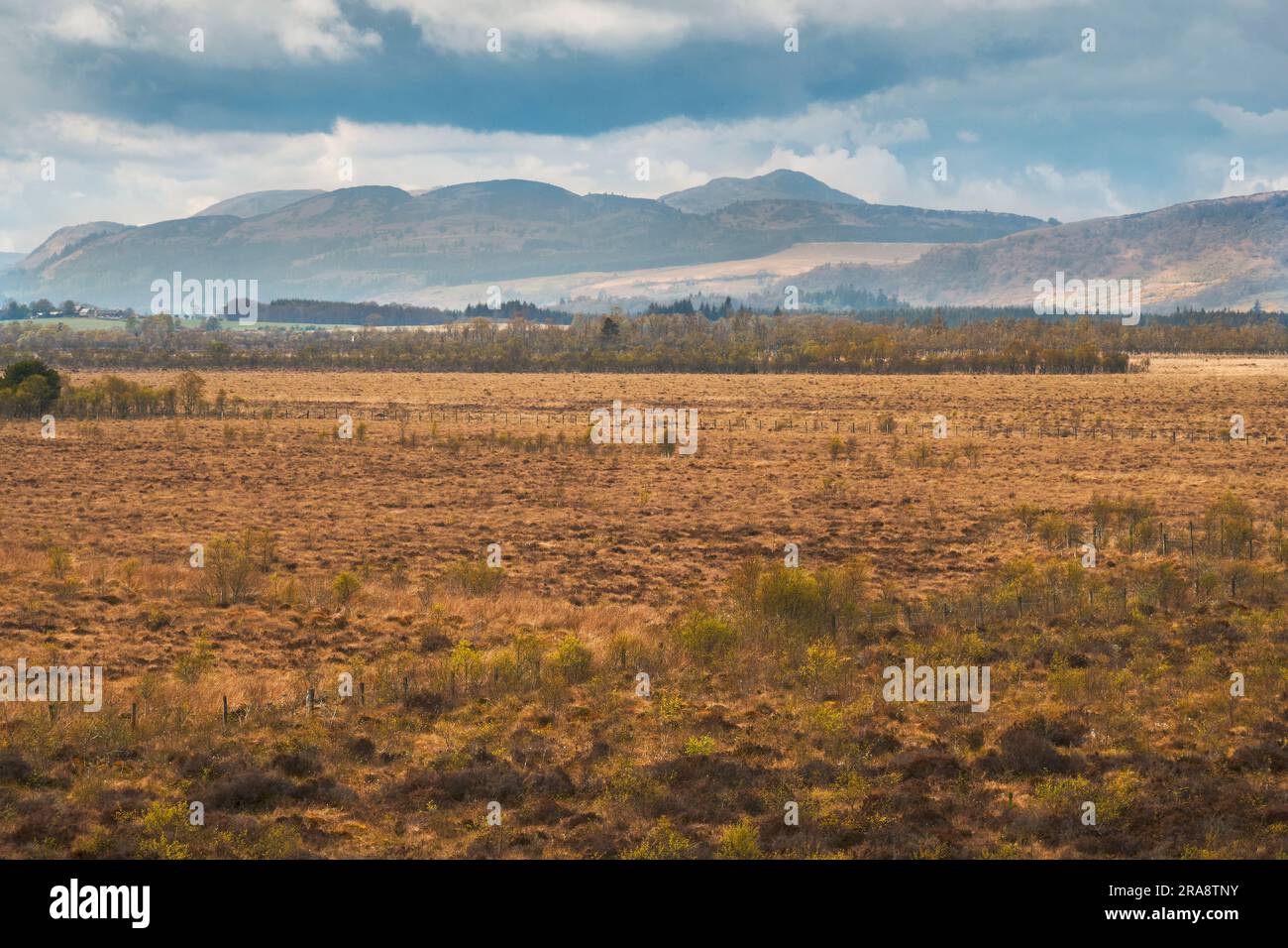 Nationales naturreservat flanders moos -Fotos und -Bildmaterial in ...