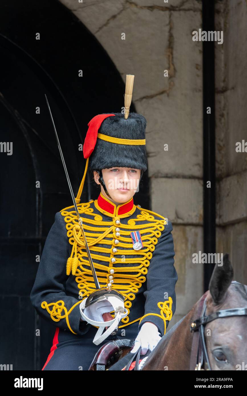 Uniform royal horse artillerie -Fotos und -Bildmaterial in hoher Auflösung – Alamy