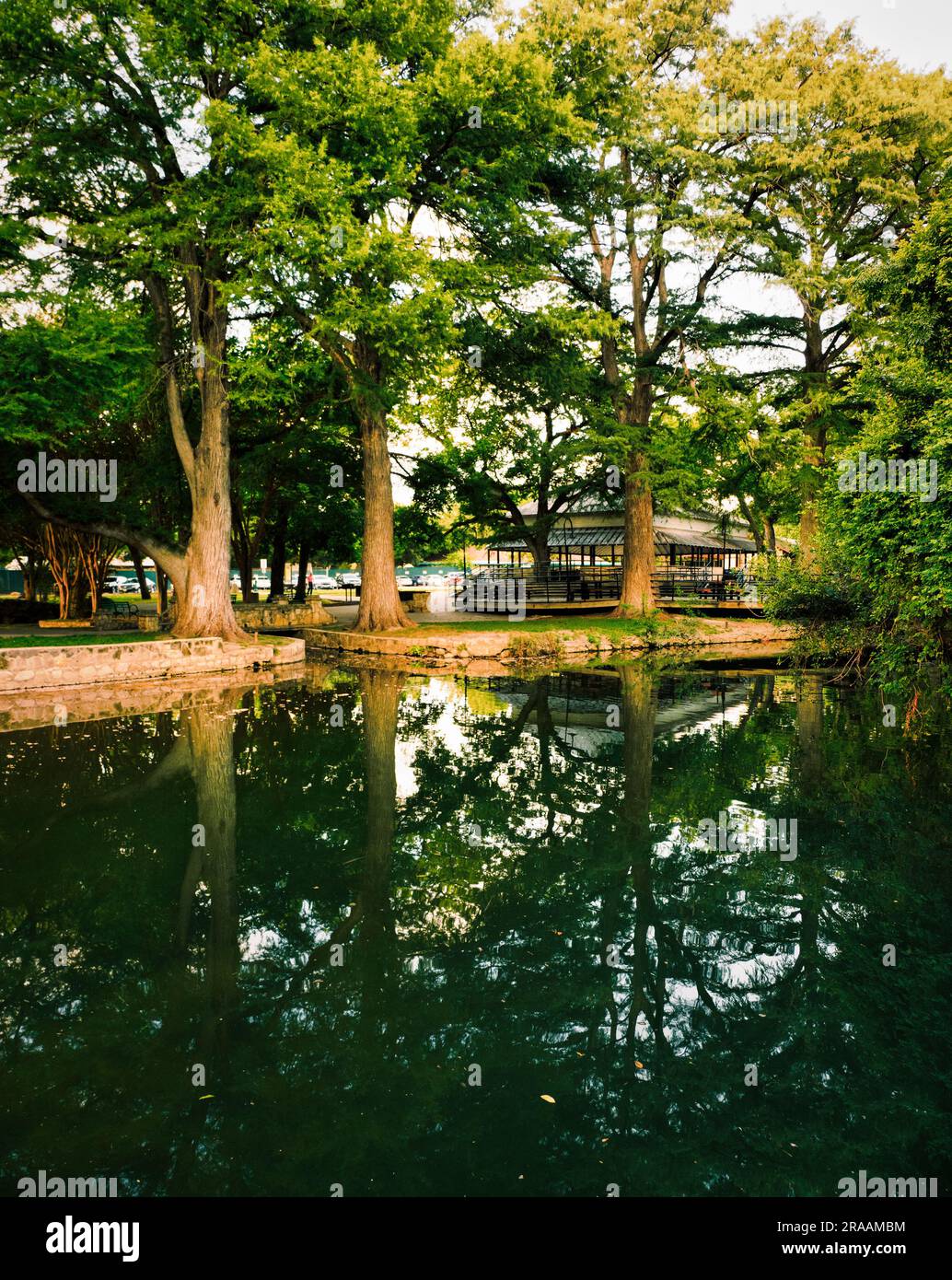 Tree reflections -Fotos und -Bildmaterial in hoher Auflösung – Alamy