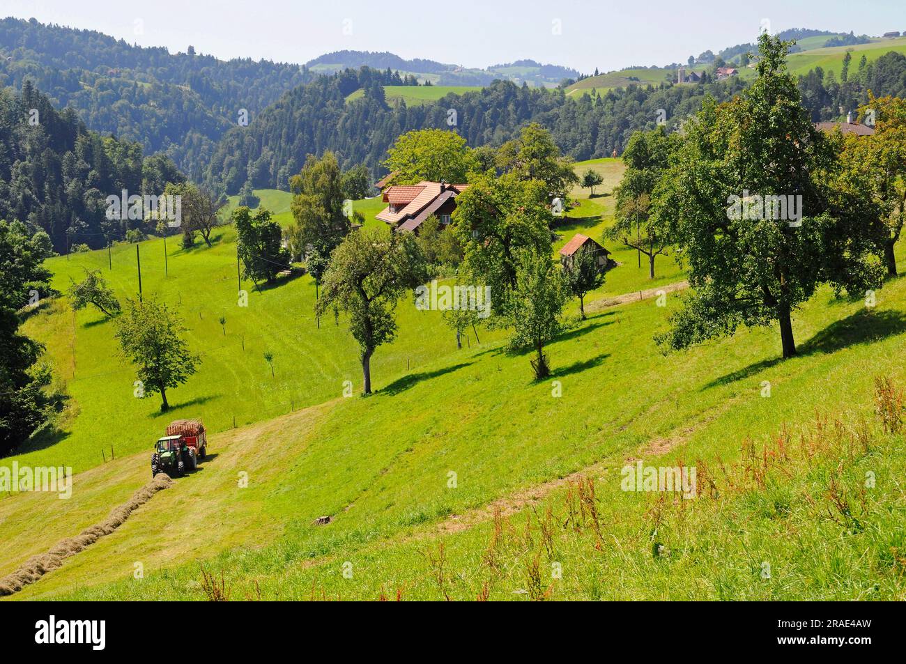 Biosphäre entlebuch -Fotos und -Bildmaterial in hoher Auflösung – Alamy