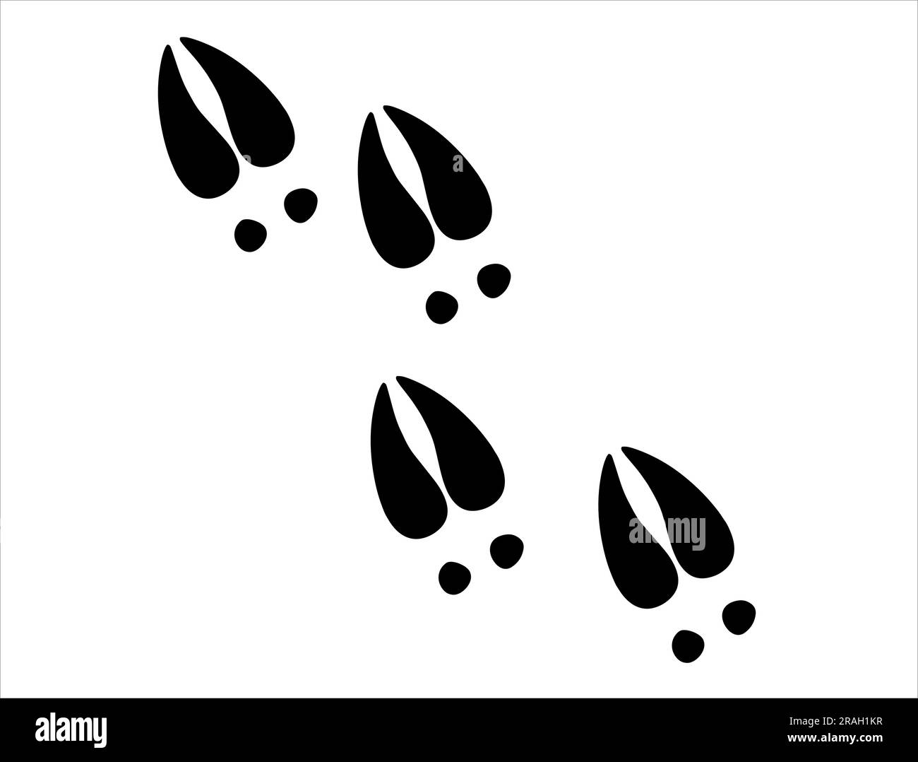 Fußabdruck hirsch -Fotos und -Bildmaterial in hoher Auflösung – Alamy