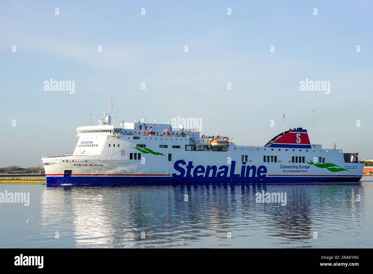 Stena flavia -Fotos und -Bildmaterial in hoher Auflösung – Alamy