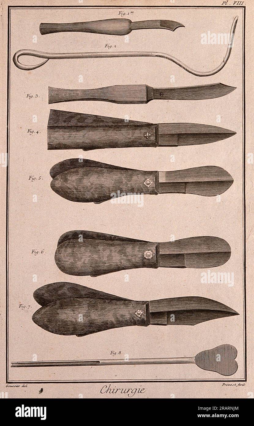 Goussier louis jacques -Fotos und -Bildmaterial in hoher Auflösung – Alamy