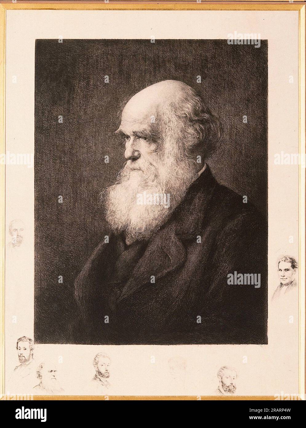 Es ist charles p darwin -Fotos und -Bildmaterial in hoher Auflösung – Alamy