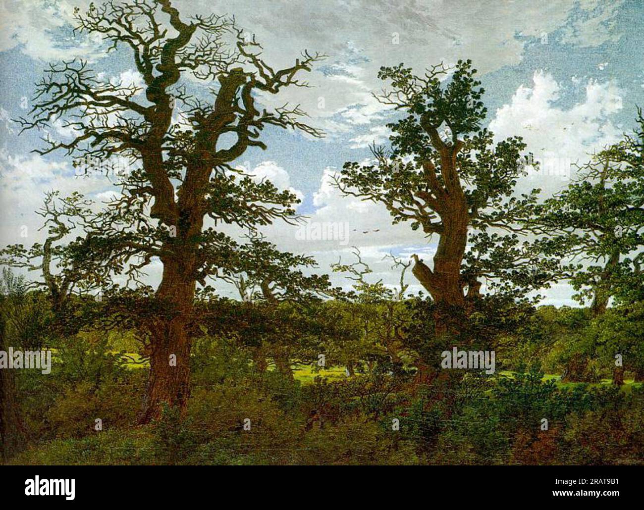 Caspar david friedrich eiche -Fotos und -Bildmaterial in hoher ...