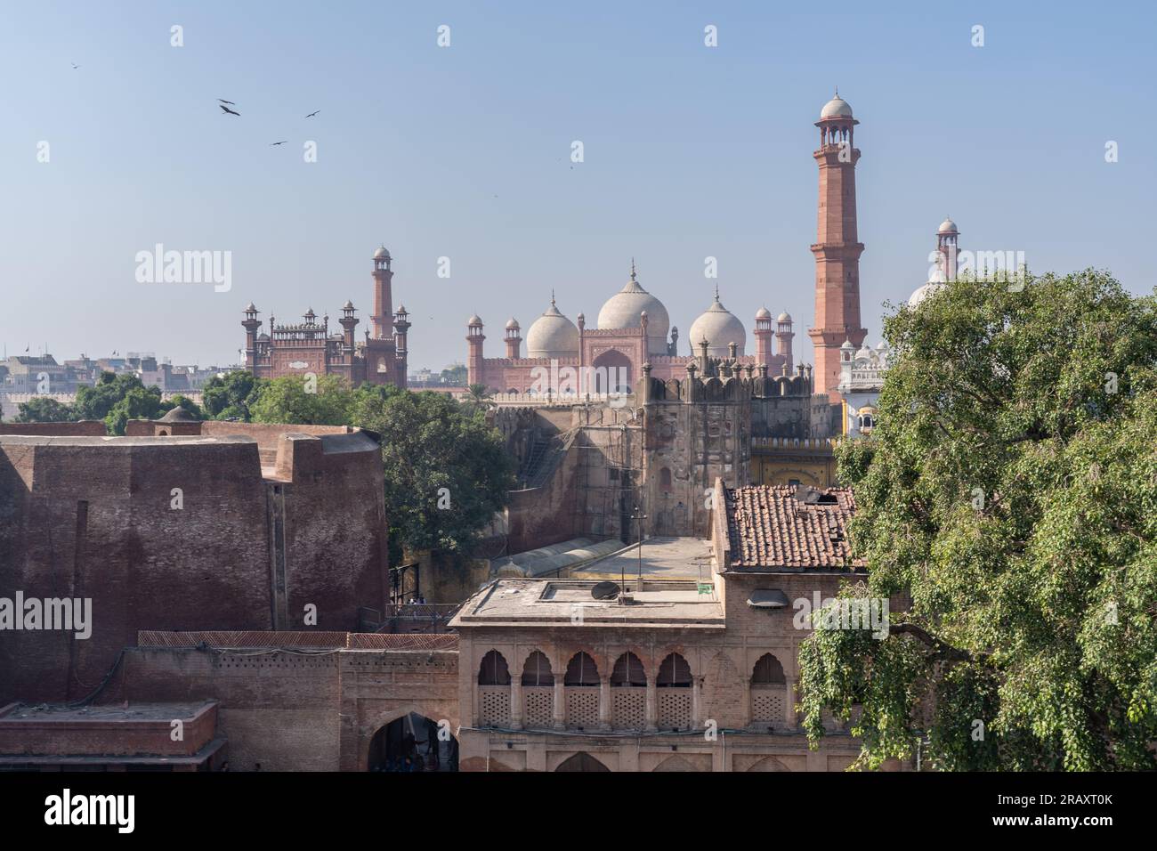 Punjab lahore pakistan -Fotos und -Bildmaterial in hoher Auflösung – Alamy