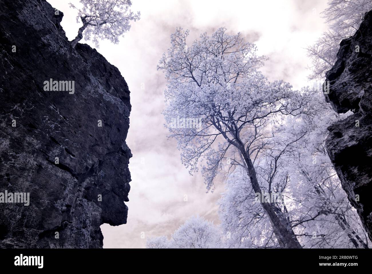 Eisen kiesel hardling -Fotos und -Bildmaterial in hoher Auflösung – Alamy