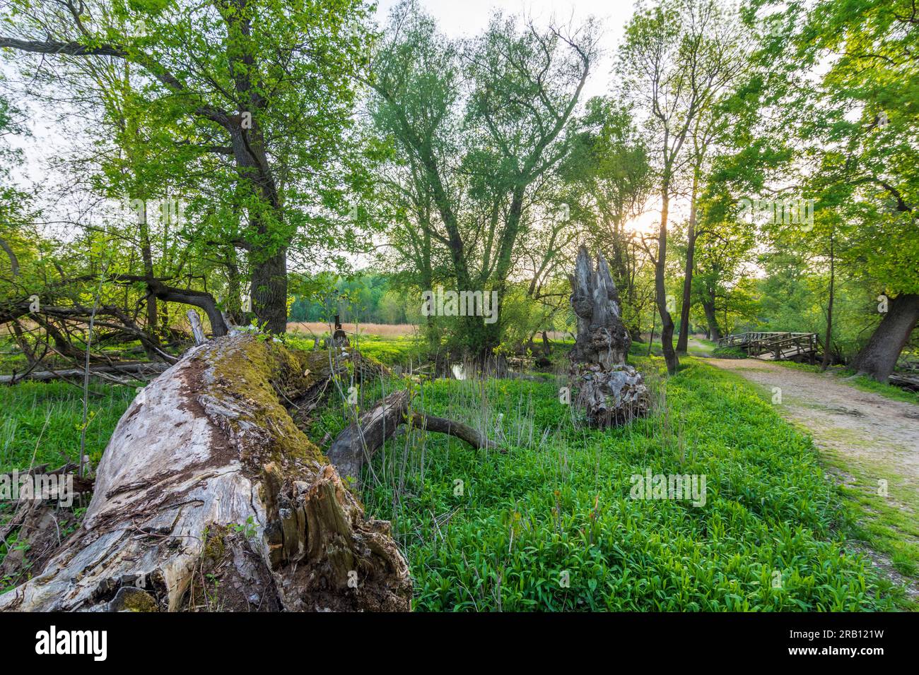 Zonas de arboles protegidos -Fotos und -Bildmaterial in hoher Auflösung – Alamy