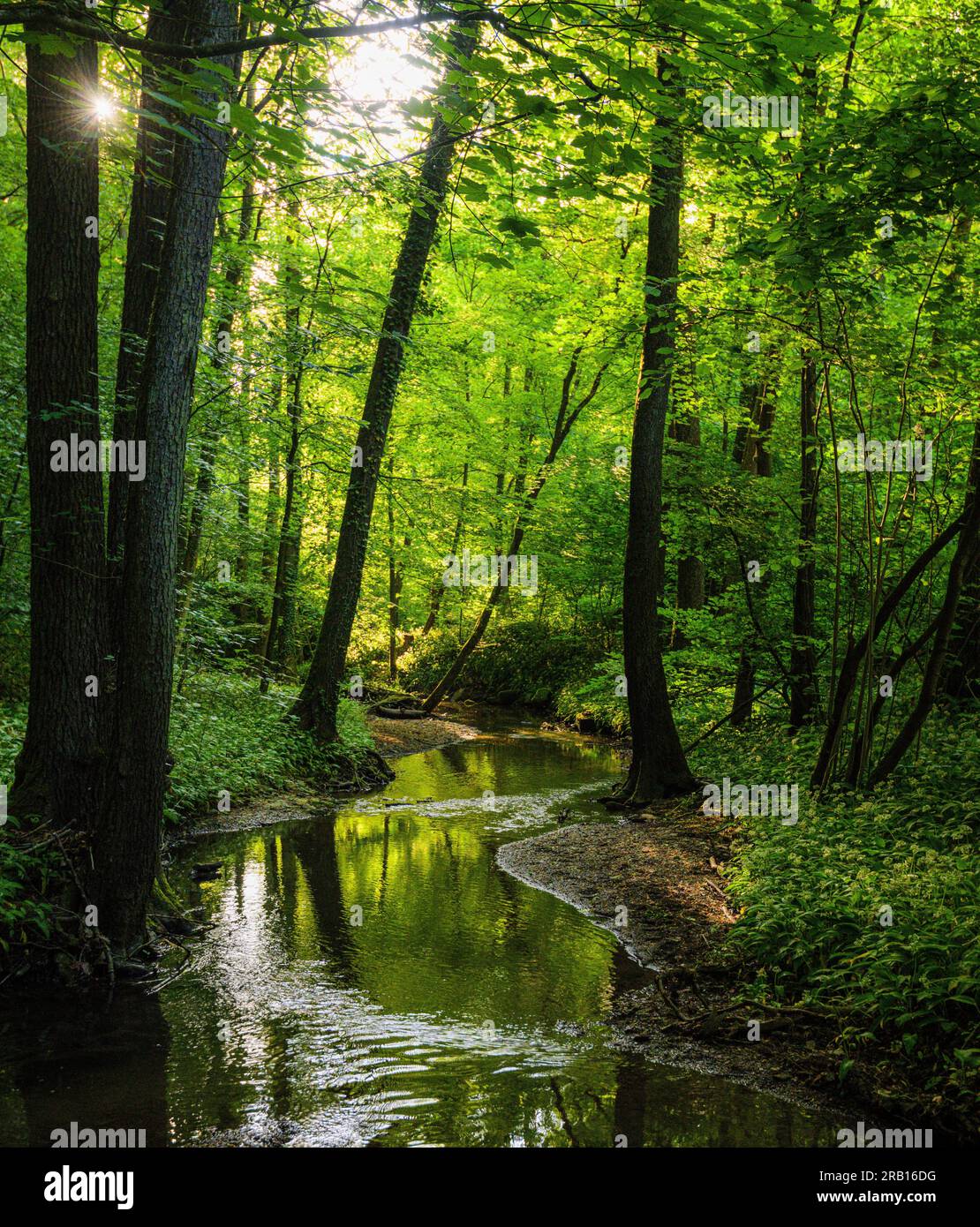 Knetzberge bohlgrund -Fotos und -Bildmaterial in hoher Auflösung – Alamy