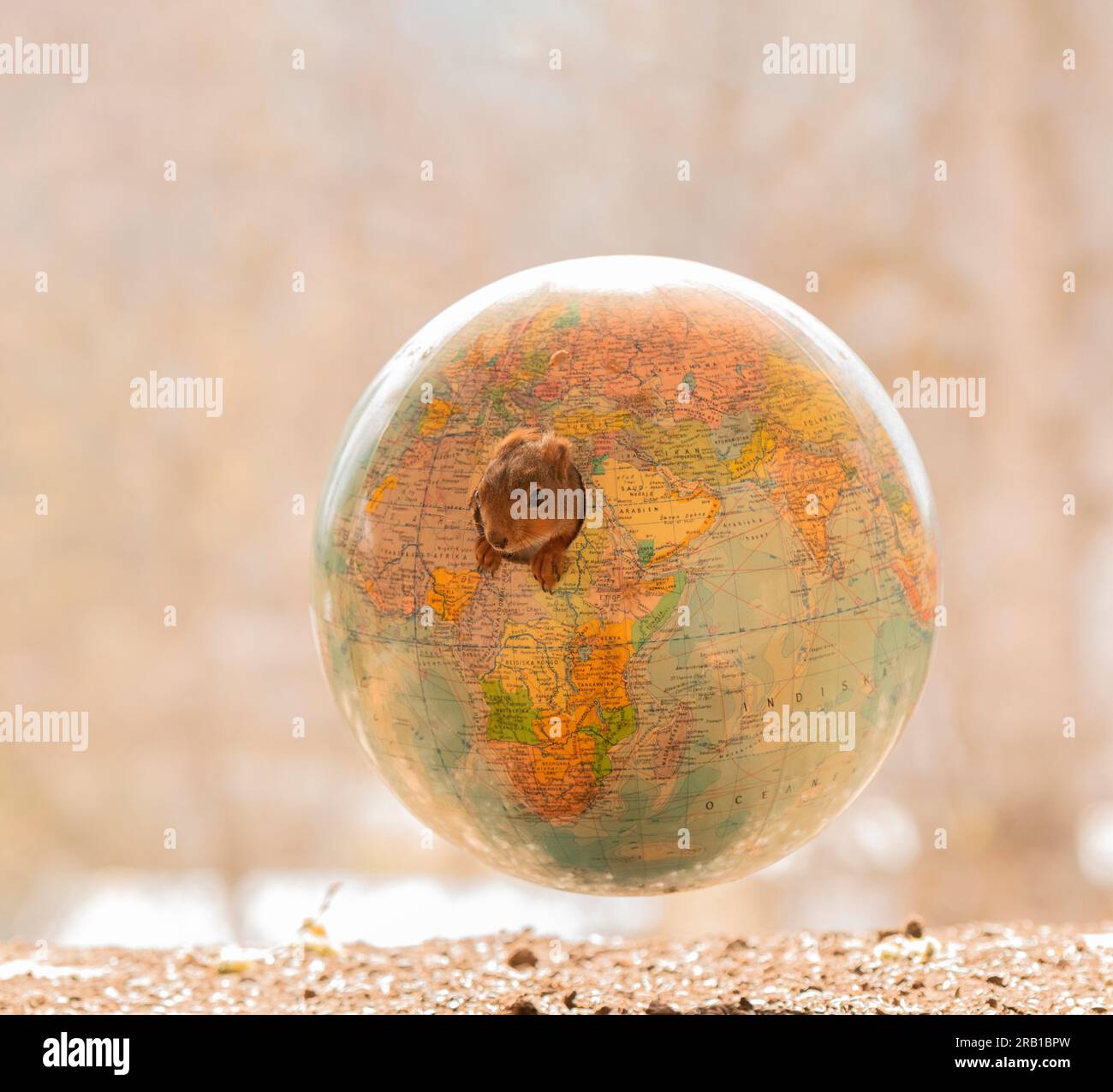 Eine mulde in der erde -Fotos und -Bildmaterial in hoher Auflösung – Alamy