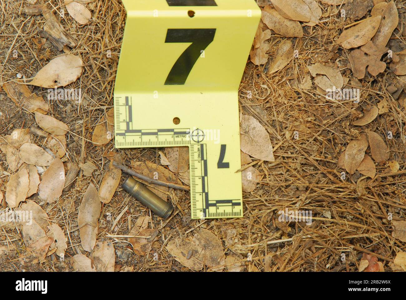 Tatort lineal -Fotos und -Bildmaterial in hoher Auflösung – Alamy