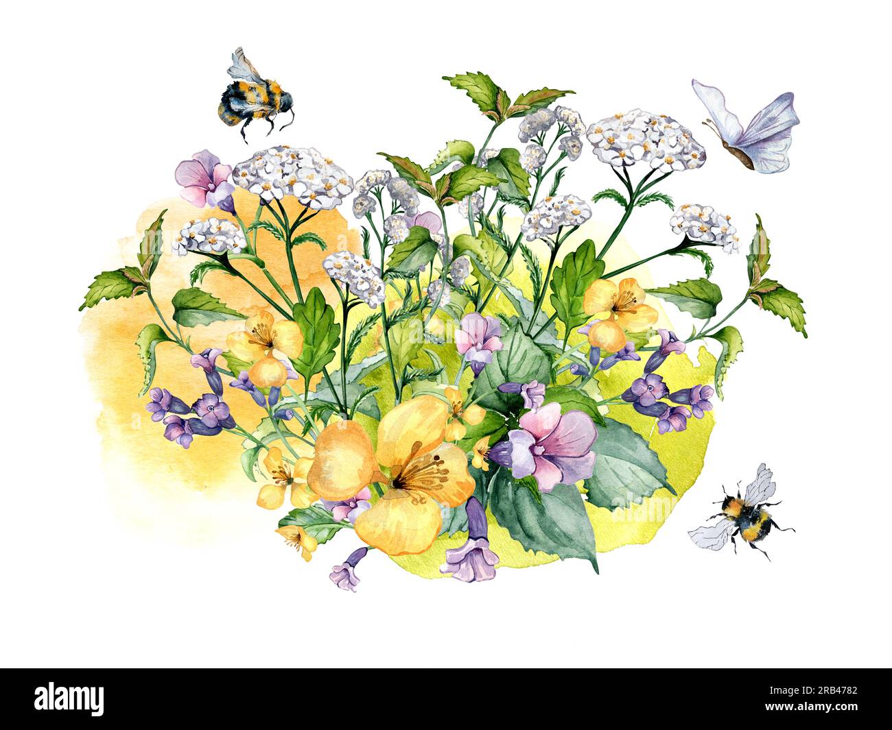 Schmetterling auf brennnessel Ausgeschnittene Stockfotos und -bilder - Alamy