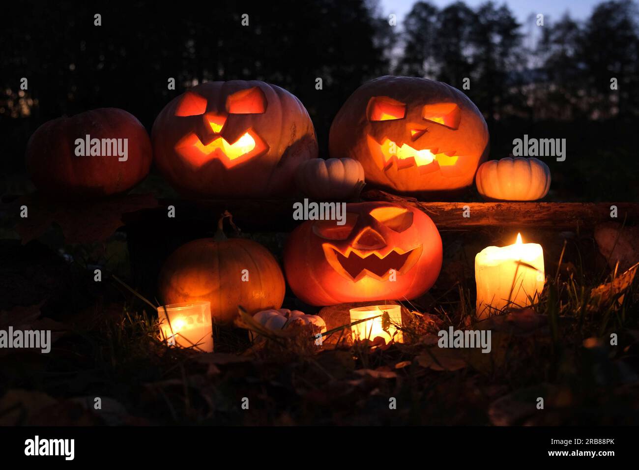 Halloween-Kürbiskopf mit gemeißeltem, gruseligem, lächelndem Gesicht ...
