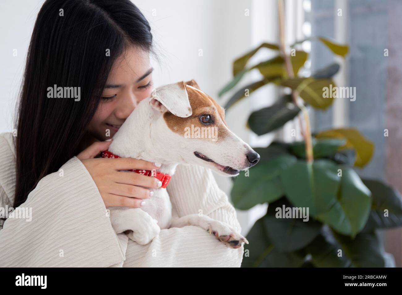 Junge asiatische Frau trägt und küsst mit dem Hund mit Liebe im ...
