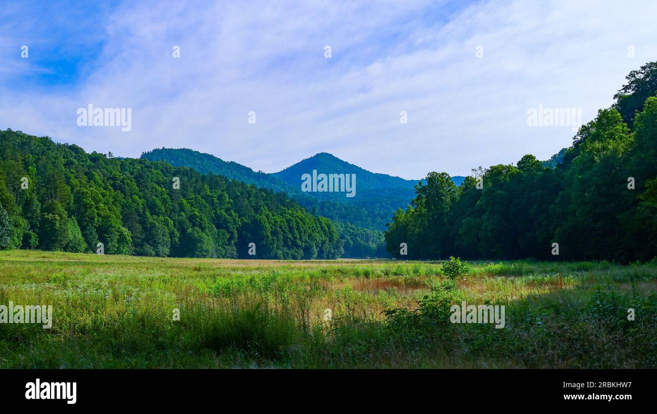 Cataloochee valley -Fotos und -Bildmaterial in hoher Auflösung – Alamy