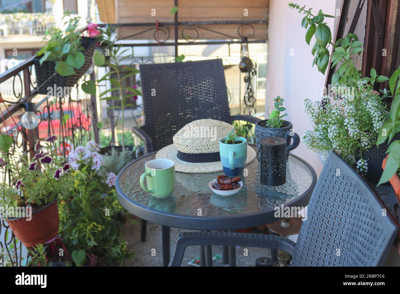 Balkon gartenpflanzen -Fotos und -Bildmaterial in hoher Auflösung – Alamy