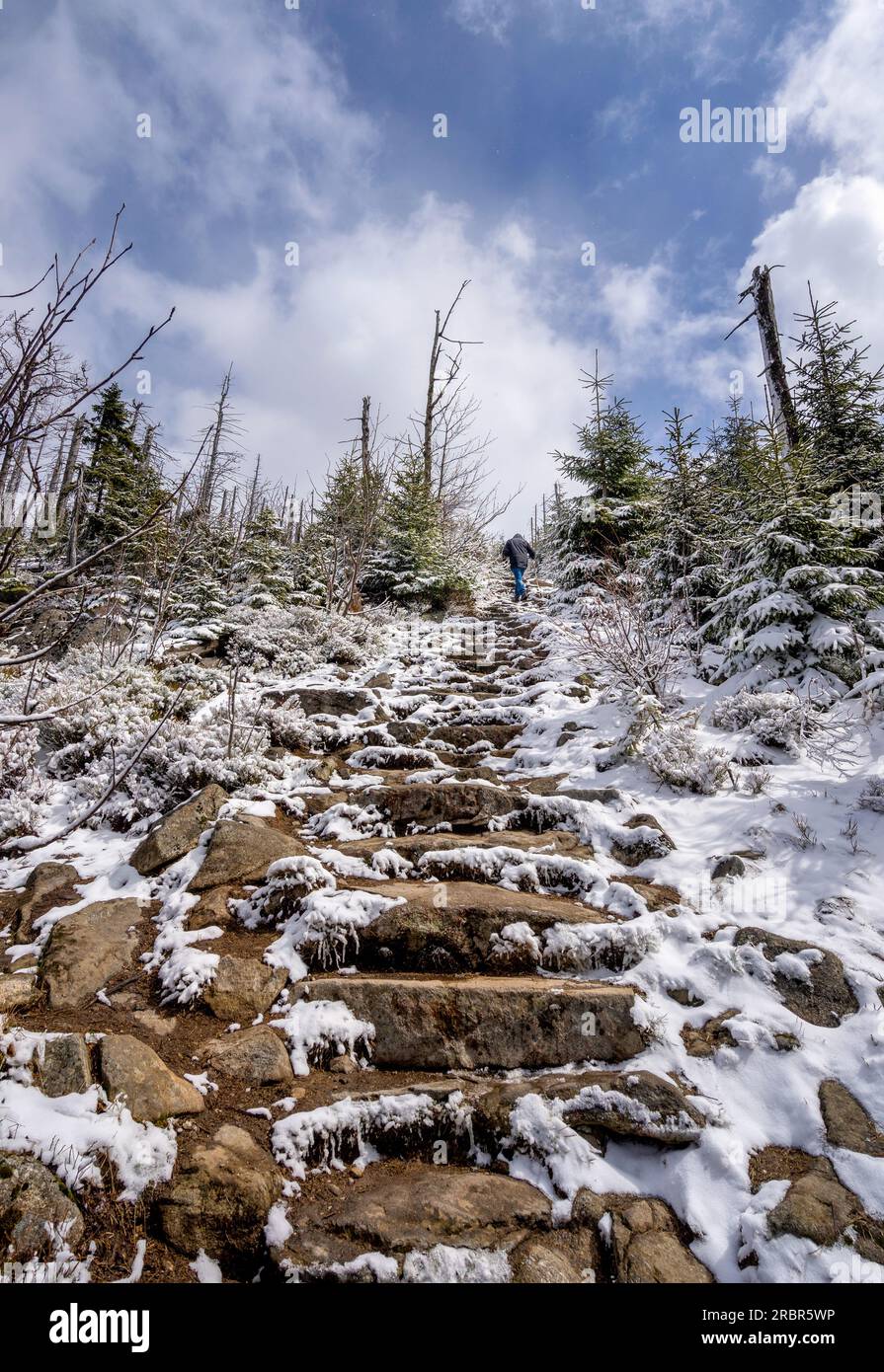 Über den Himmelsleiter zum Gipfel der Lusen, Nationalpark, Bayerischer ...