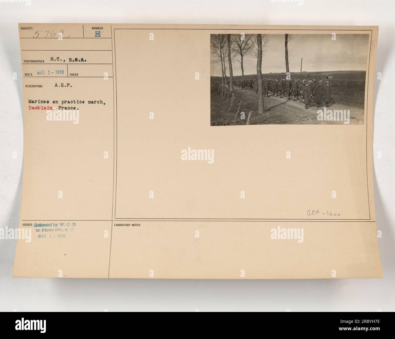 Marines der American Expeditionary Force (AEF), die während des Ersten ...