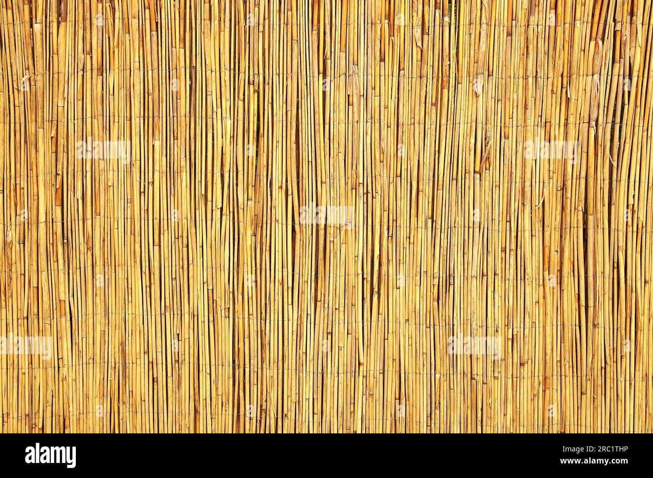 Reed structure -Fotos und -Bildmaterial in hoher Auflösung – Alamy