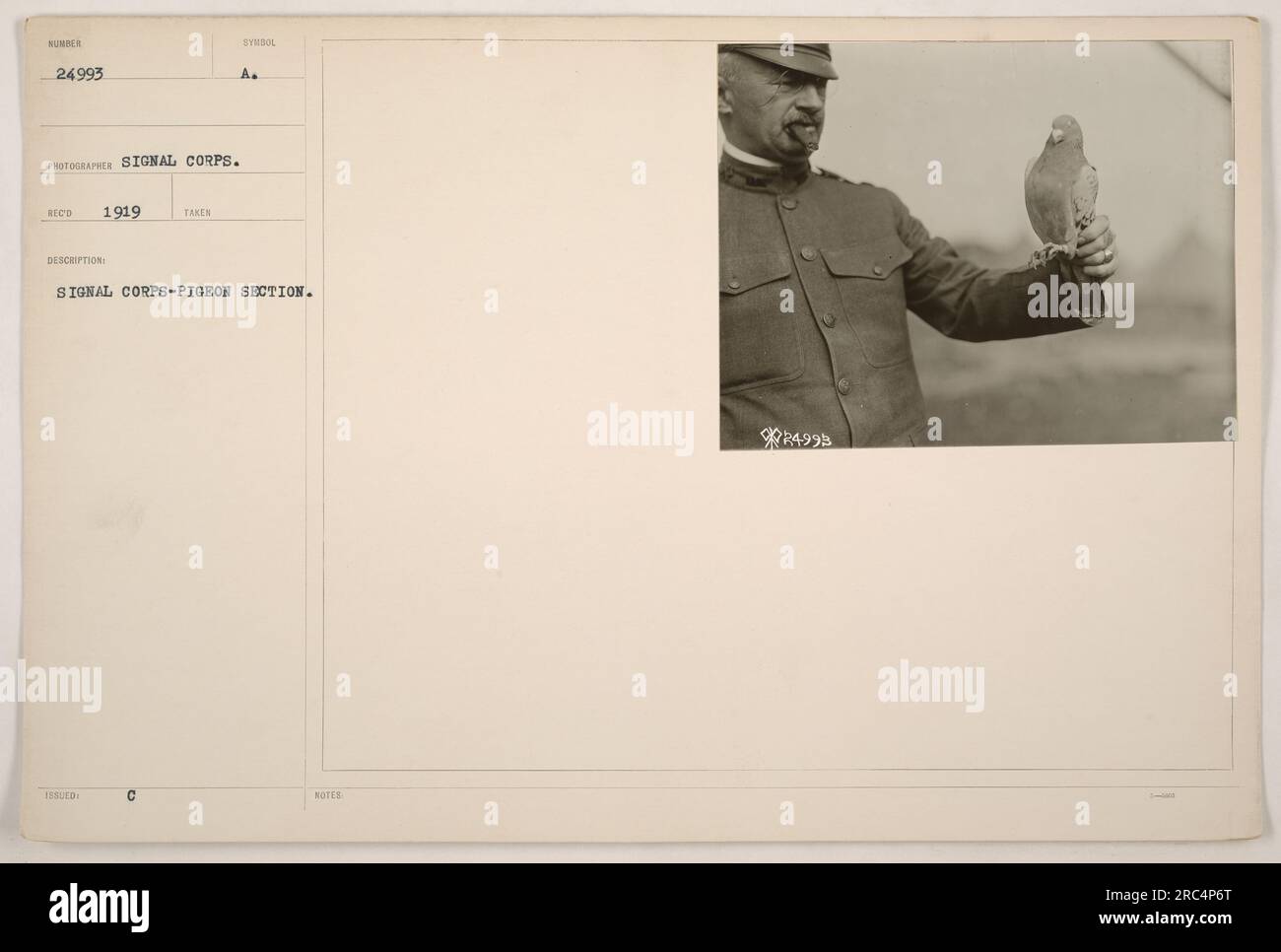 Bild der Taubensektion des Signalkorps im Ersten Weltkrieg. Dieses Foto ...