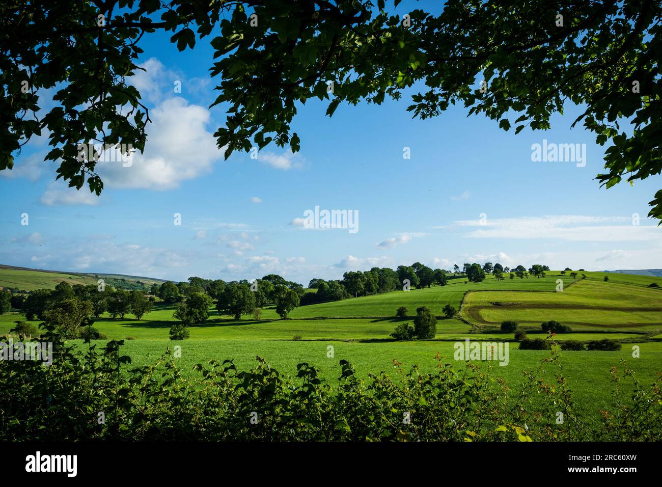 Zeitlose arboreten -Fotos und -Bildmaterial in hoher Auflösung – Alamy