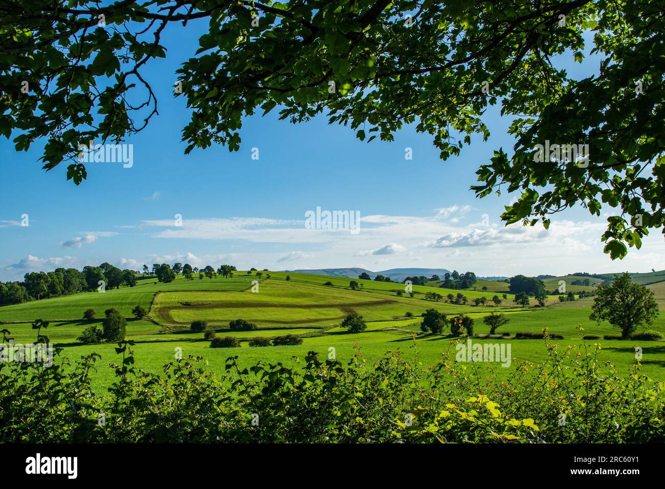 Elementare wunder -Fotos und -Bildmaterial in hoher Auflösung – Alamy