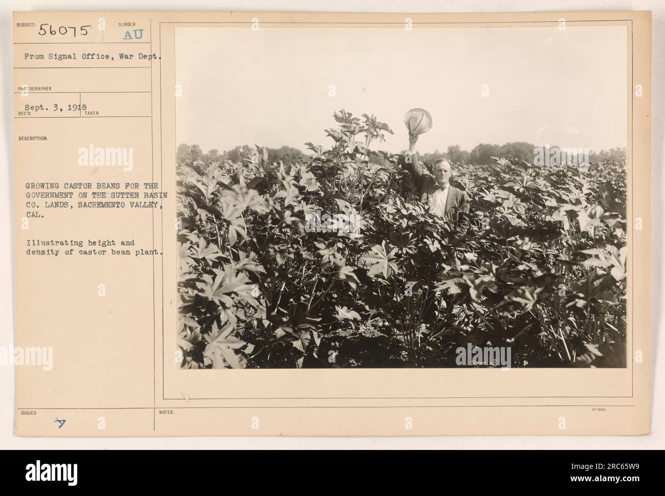 Sutter basin co -Fotos und -Bildmaterial in hoher Auflösung – Alamy