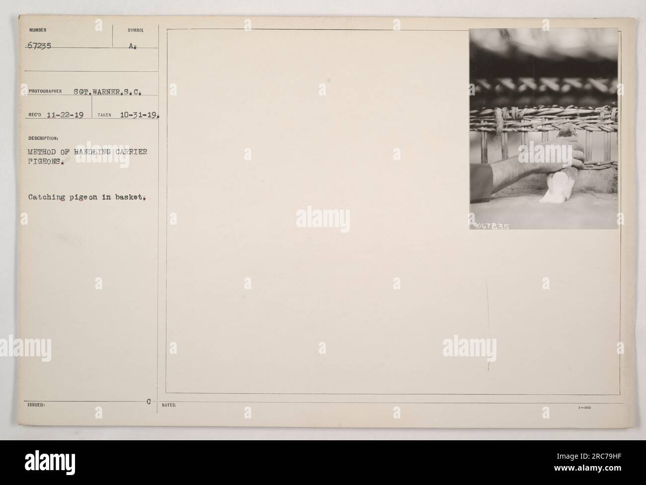 Methode zum umgang mit tauben -Fotos und -Bildmaterial in hoher Auflösung – Alamy