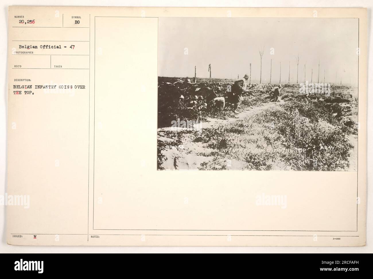 Synsol b -Fotos und -Bildmaterial in hoher Auflösung – Alamy
