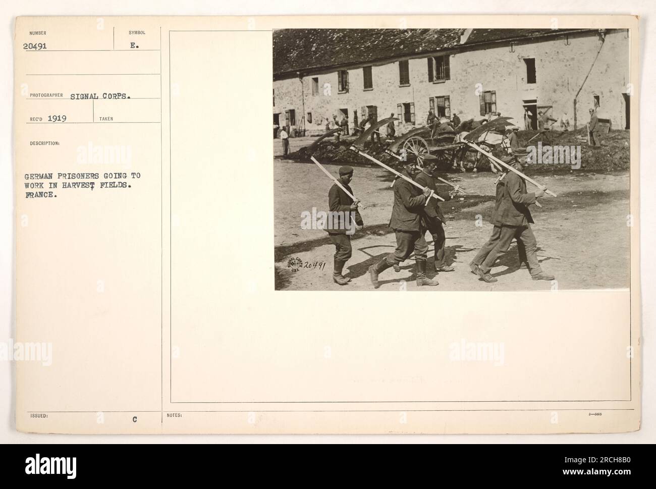 Deutsche Kriegsgefangene, die 1919 in Frankreich auf Erntefelder ...