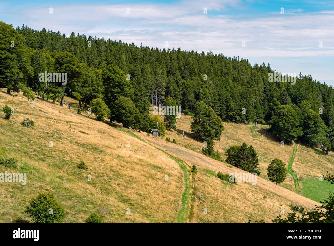 Blick über Wiesen und Wälder rund um das schauinsland im Schwarzwald ...