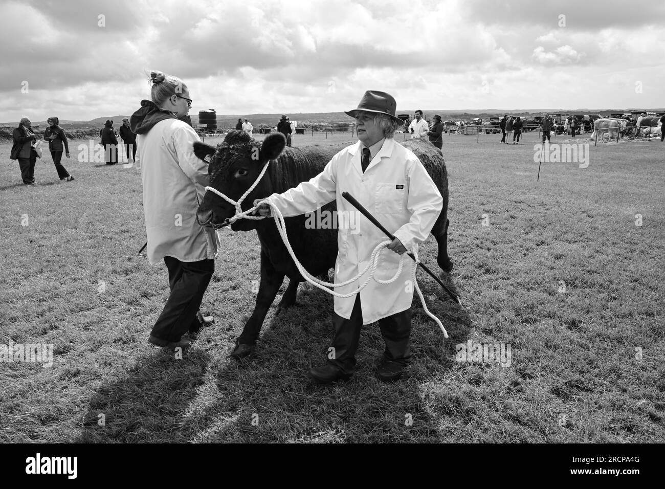 Camborne show -Fotos und -Bildmaterial in hoher Auflösung – Alamy