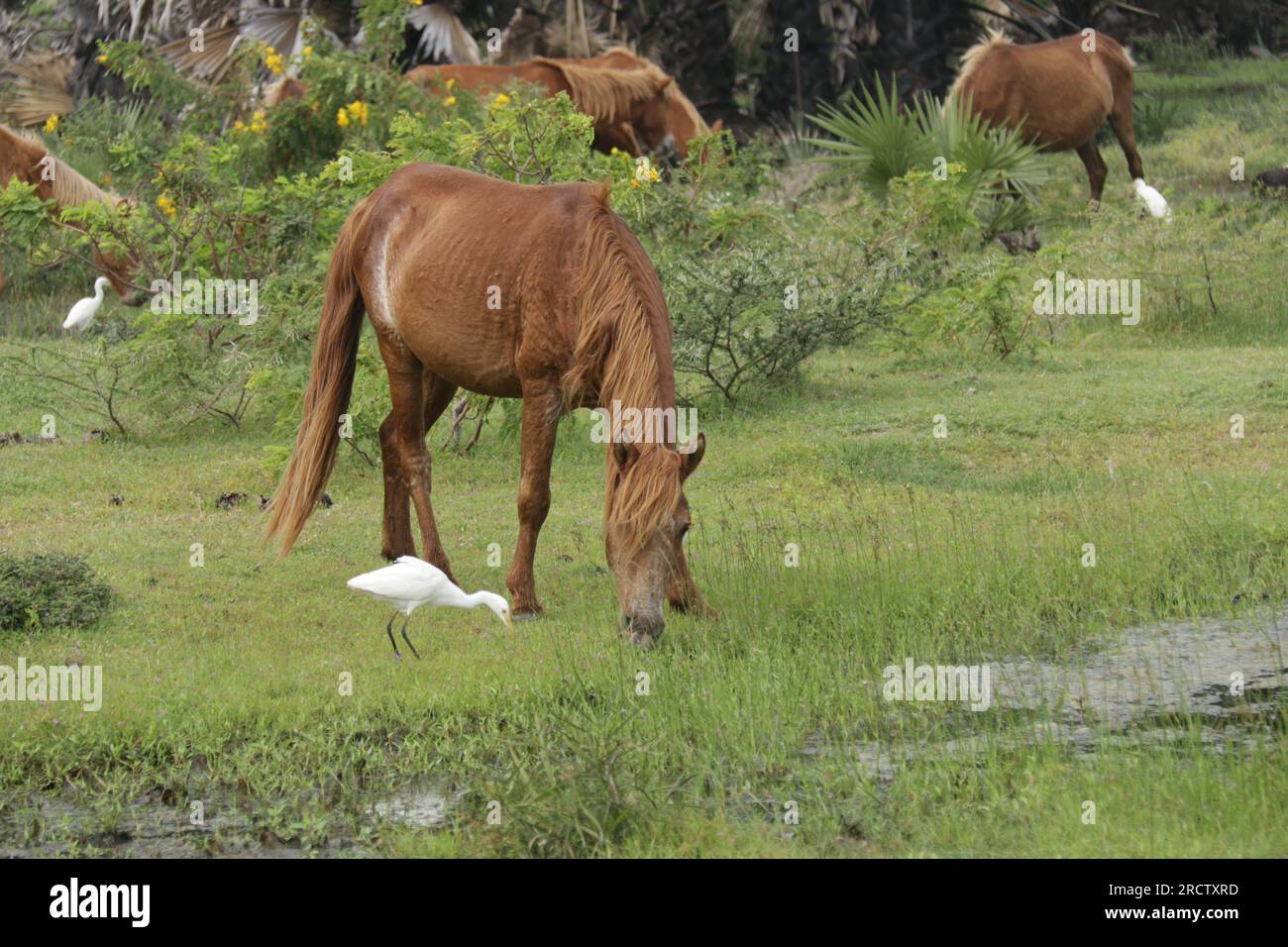 Free photos -Fotos und -Bildmaterial in hoher Auflösung – Alamy
