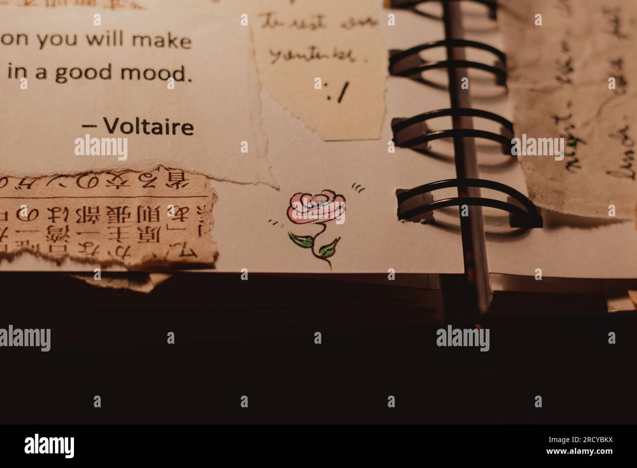 Vektor zeichnung garten -Fotos und -Bildmaterial in hoher Auflösung – Alamy