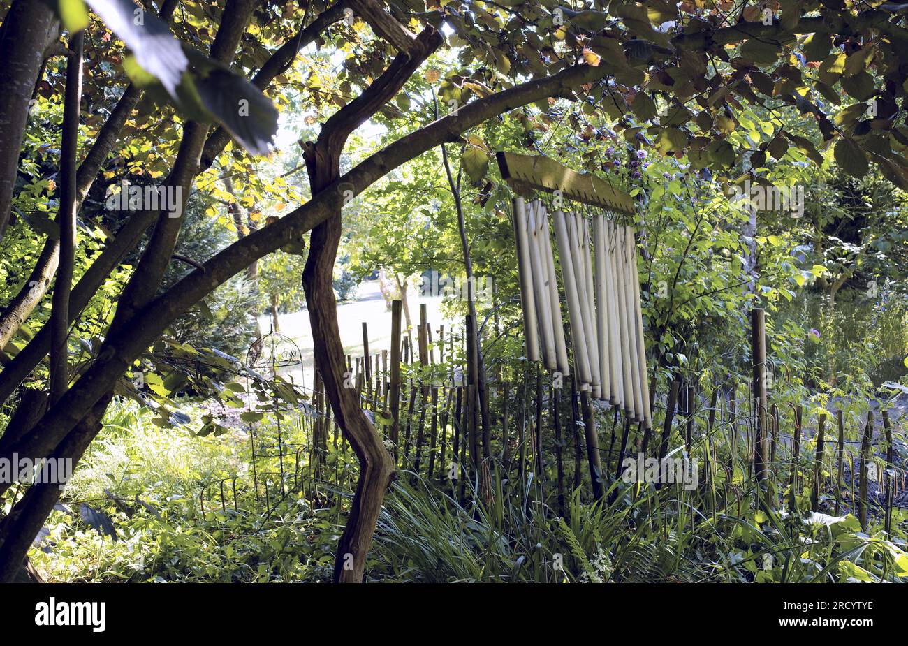 Windspiele ist ein baum -Fotos und -Bildmaterial in hoher Auflösung – Alamy