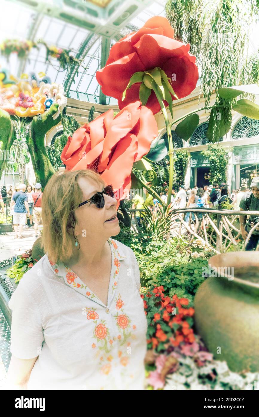 Bellagio hotel interior las vegas -Fotos und -Bildmaterial in hoher Auflösung – Alamy