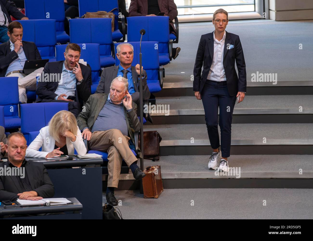 Afd bundestagsfraktion -Fotos und -Bildmaterial in hoher Auflösung – Alamy