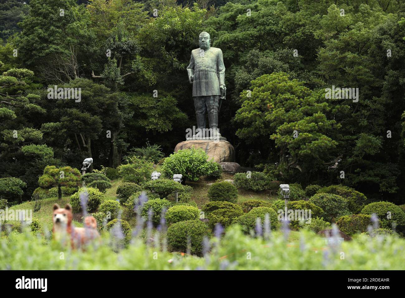 A statue of Takamori Saigo, a Japanese samurai and nobleman, is seen in ...